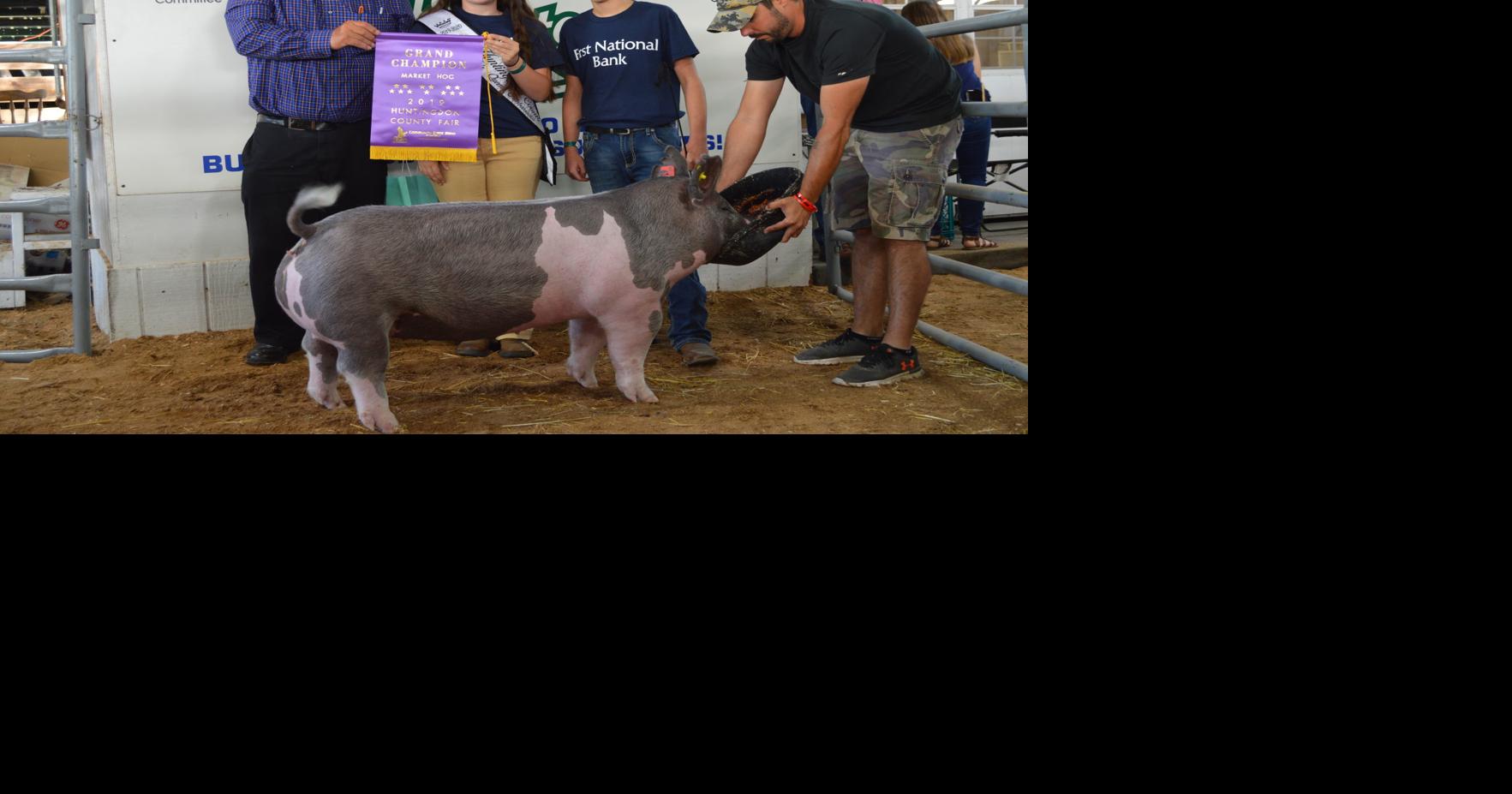 Market swine open 2019 livestock sale | Local | huntingdondailynews.com