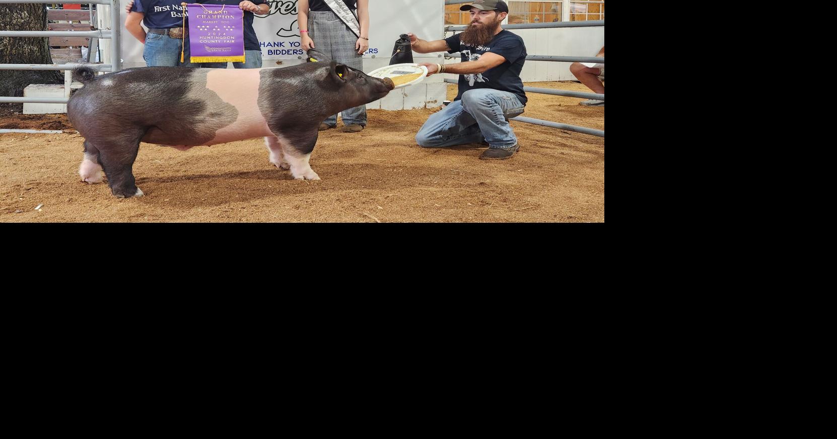 Market swine open 2024 livestock sale | Local | huntingdondailynews.com