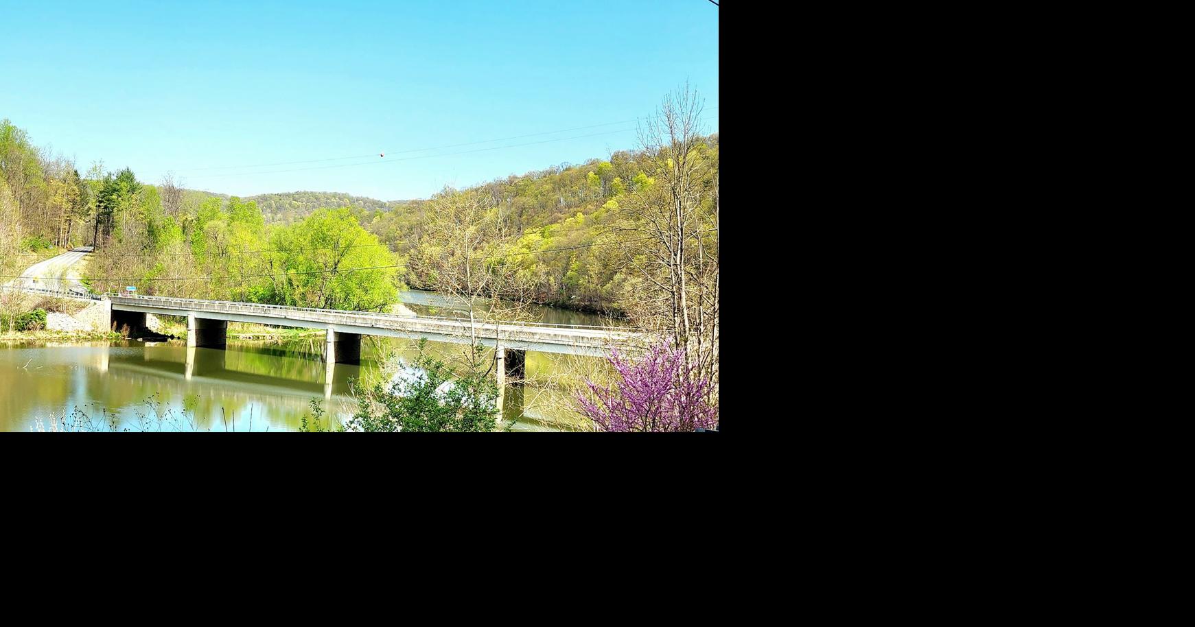 Spring’s trees are in full bloom | | huntingdondailynews.com