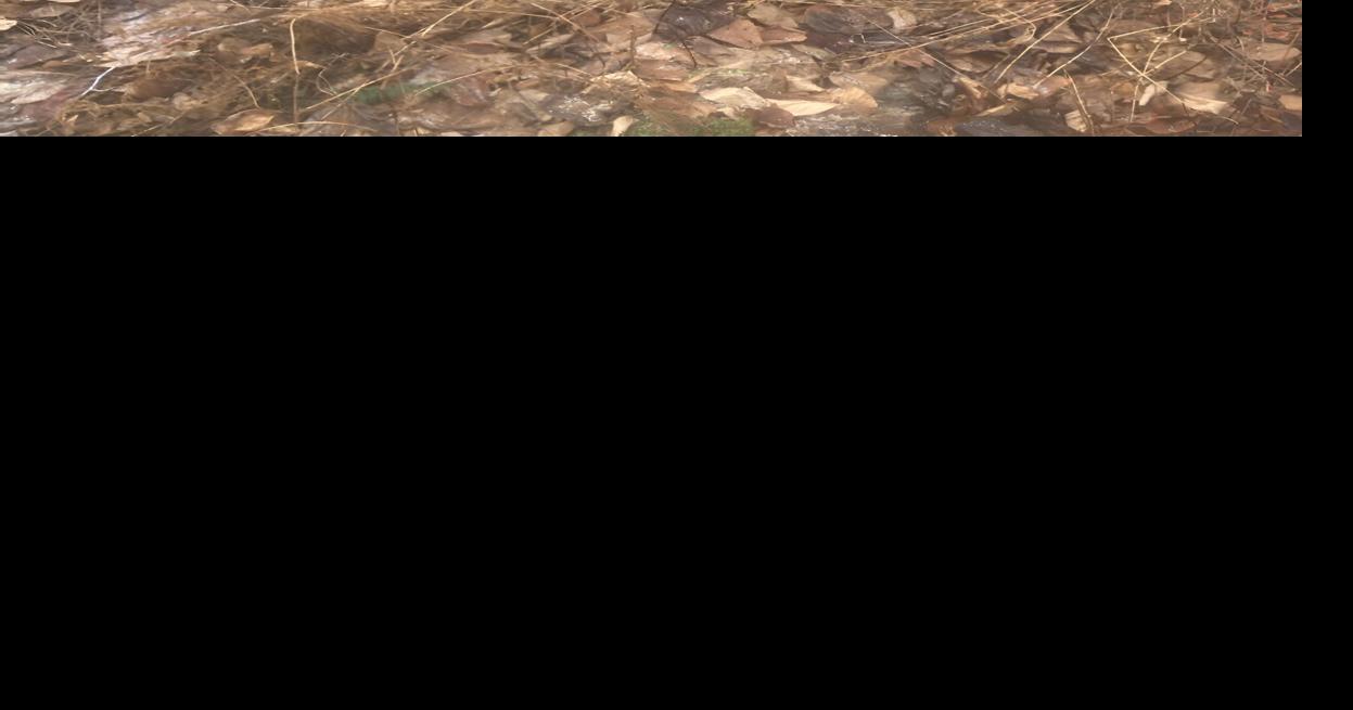 Lucky hunters | Local | huntingdondailynews.com