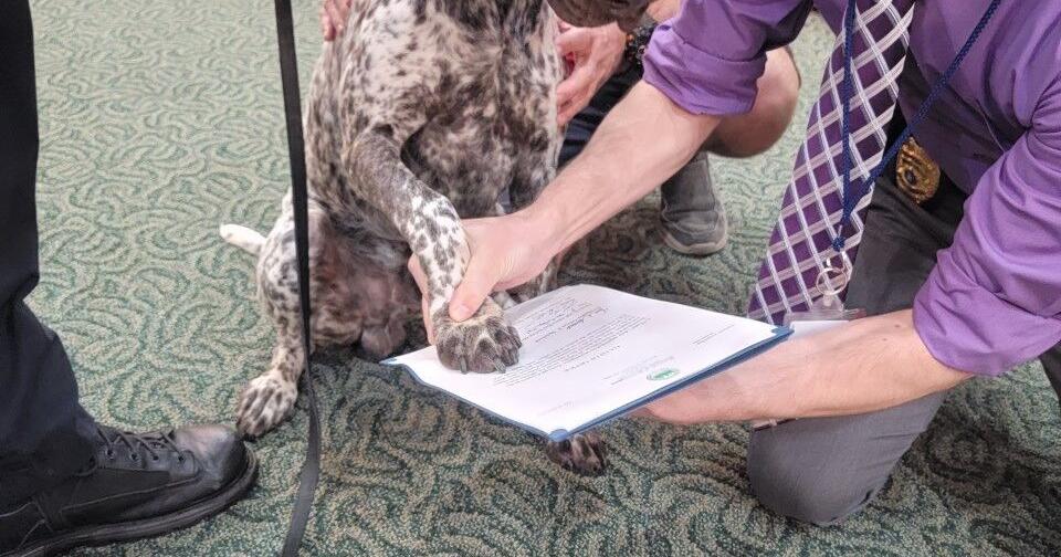 K9 officer joins HPD ranks | Local | huntingdondailynews.com