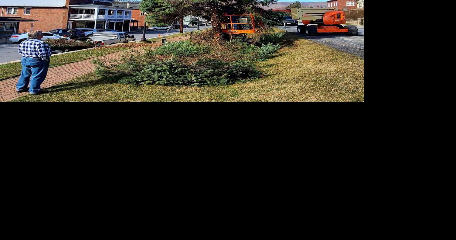 New tree will be installed in Saxton | Local | huntingdondailynews.com