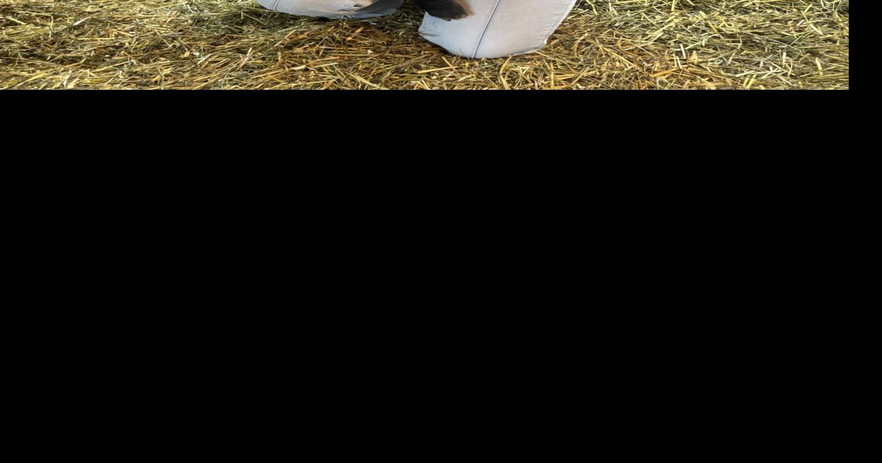 Youth compete in Harrisburg | Local | huntingdondailynews.com