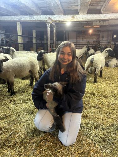 Youth compete in Harrisburg | Local | huntingdondailynews.com