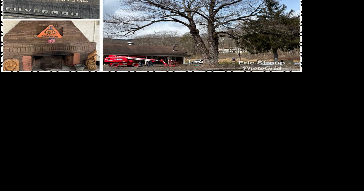 Preserving 200-year-old tree at century-old camp | News ...