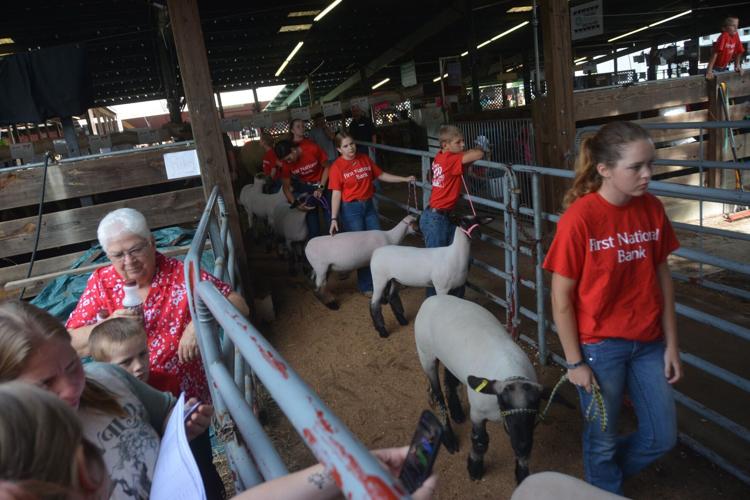 Buyers support junior livestock at fair | News | huntingdondailynews.com