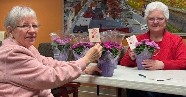 ‘Friends’ gift residents with mums | People | huntingdondailynews.com