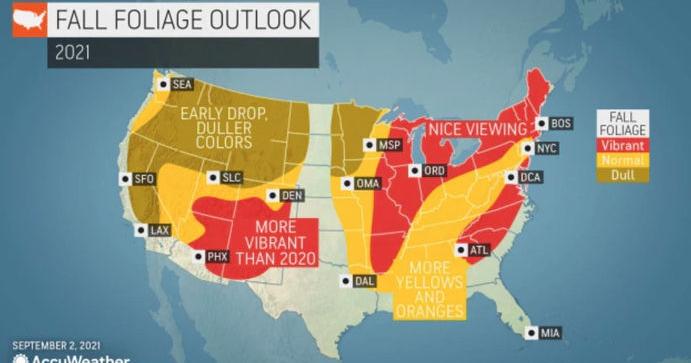 Fall foliage expected to be vibrant | Local | huntingdondailynews.com