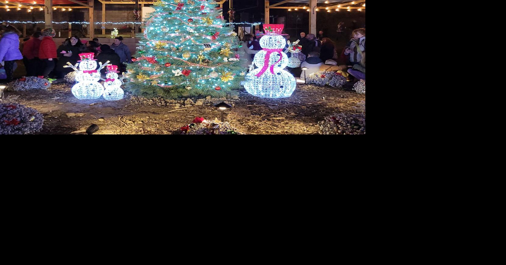 New Tree Lights Up Huntingdon Holidays | Local | huntingdondailynews.com