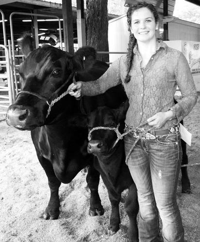 Kern takes fair’s supreme breeding beef rosettes | Local ...