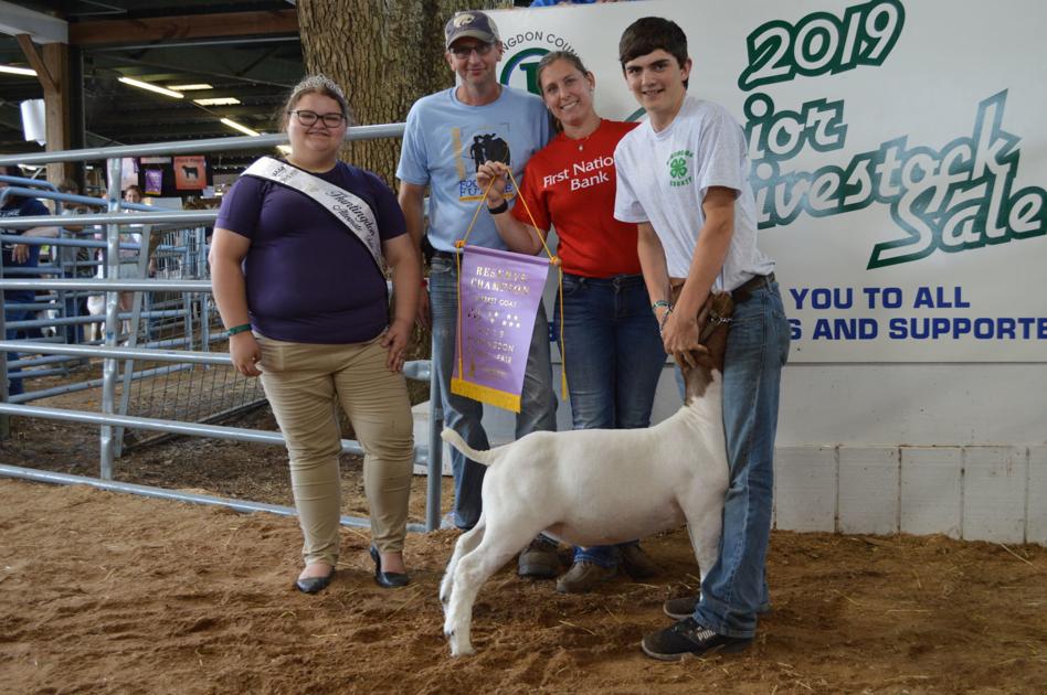 Market goat prices stay high throughout sale | Local ...