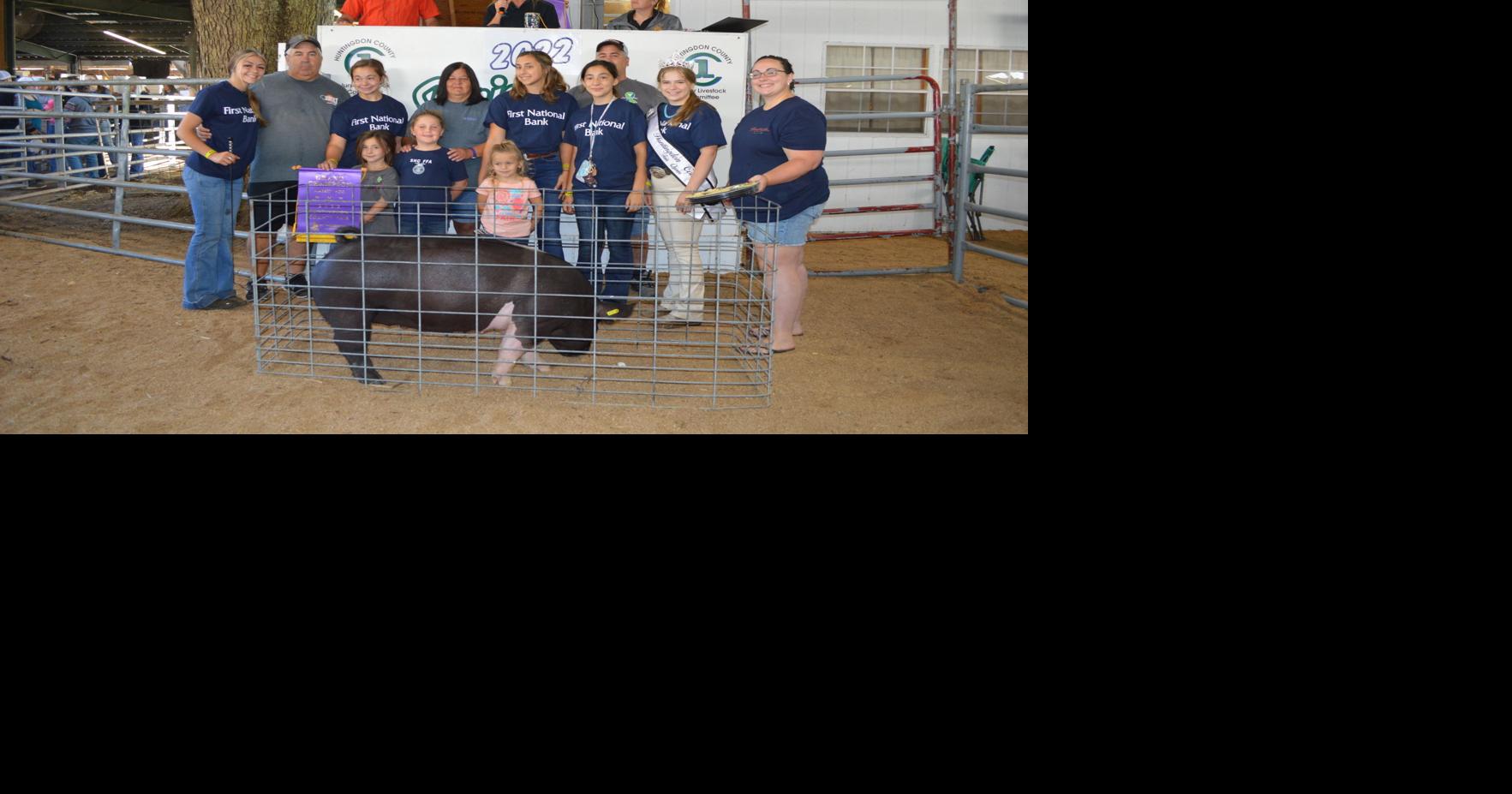 Market swine open 2022 livestock sale | Local | huntingdondailynews.com