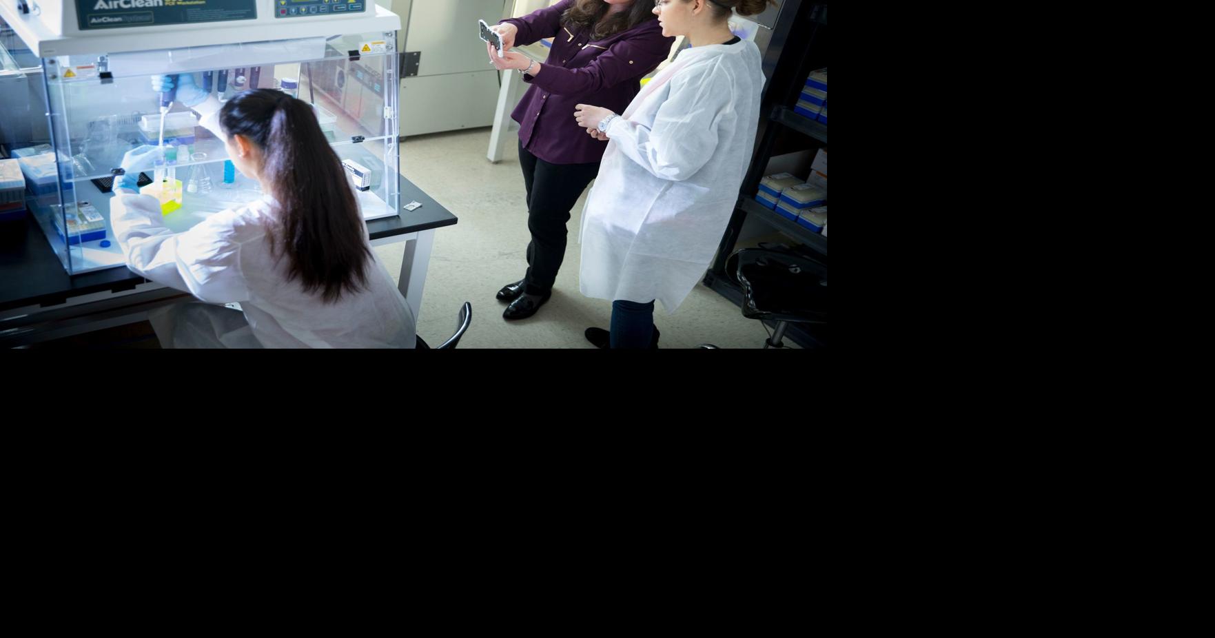 Test system nearly flawless | Local | huntingdondailynews.com