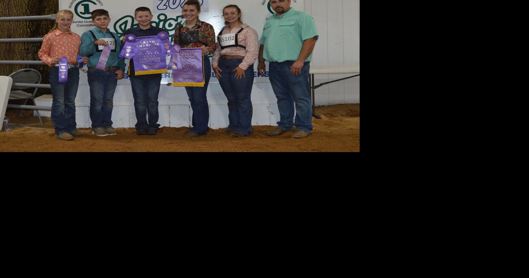 Judge impressed by quality of fair's lambs | Local ...