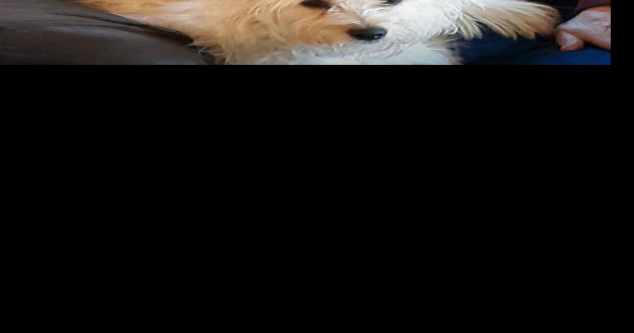 Ned W. Cutshall Sr. | Obituaries | huntingdondailynews.com