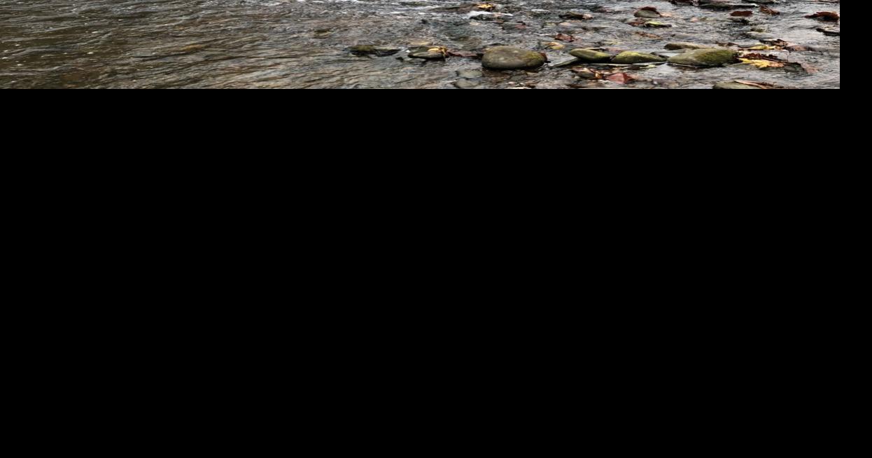 From the River: A new column by Eric Stroup | News ...