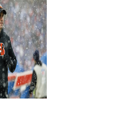 Chatelain: What do Zac Taylor and Ed Foley have in common? Authenticity