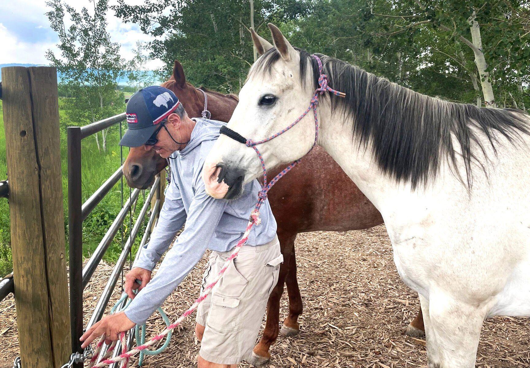 Wyoming and 'Wisdom Years': John Cook's mountain retreat keeps ...