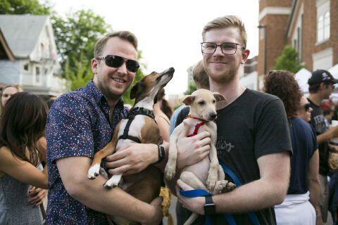 Madison Night Market | Galleries | ibmadison.com