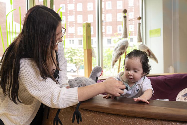 Slashed federal funding cuts deep for Madison nonprofits | Education ...