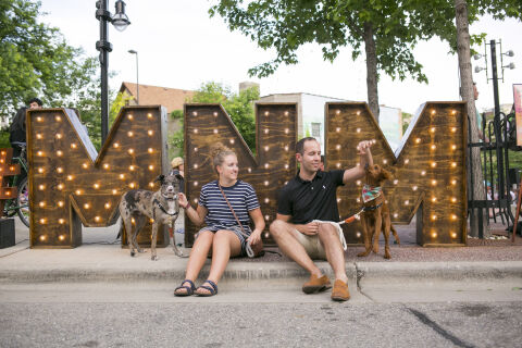 Madison Night Market | Galleries | ibmadison.com