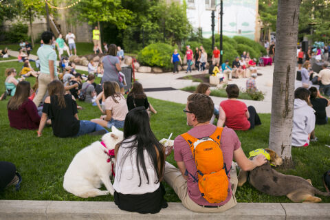 Madison Night Market | Galleries | ibmadison.com
