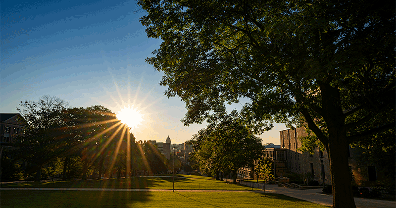 RISE and shine | Technology & Biotech | ibmadison.com