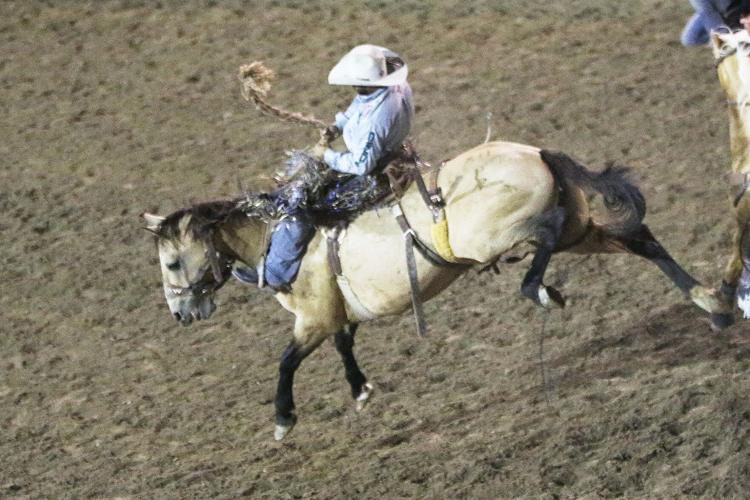 Twin Falls resident Pollock rising quick in rodeo after late start ...