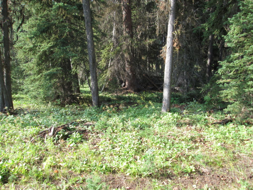 Retired Gem County sheriff spotted missing teen | Members | idahopress.com