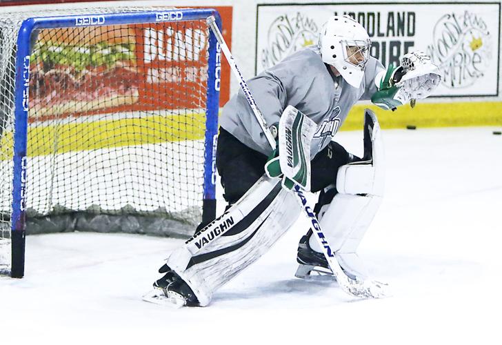After nearly giving up hockey, Sholl shining in net for Steelheads ...