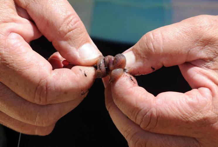 First Day of Floating Season | Photo Gallery | idahopress.com