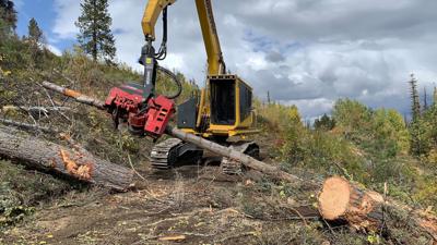 New Idaho program could boost timber revenue on state lands | Eye on ...
