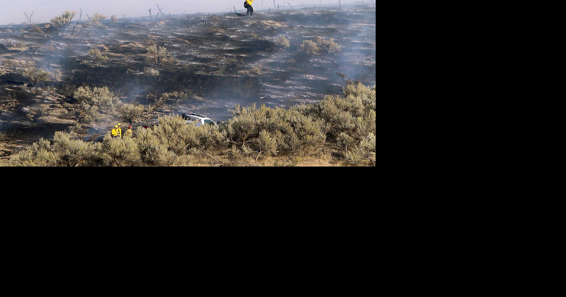 Fire outlook: Idaho rangeland has high wildfire potential this summer ...