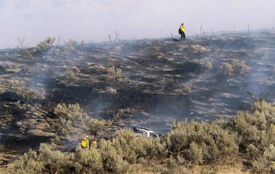 Fire outlook: Idaho rangeland has high wildfire potential this summer ...