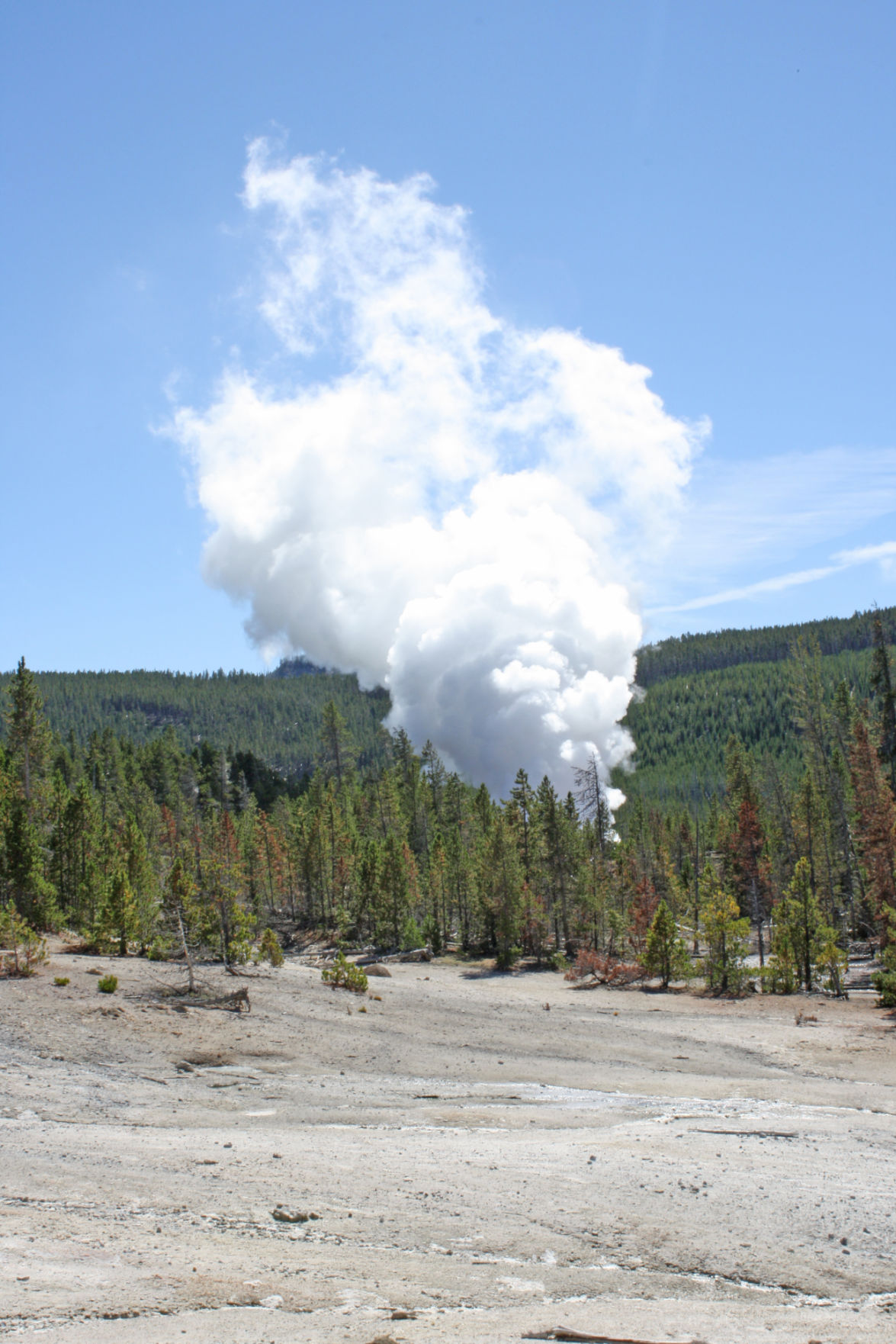 97. Watch Old Faithful reach for the sky at Yellowstone National Park ...