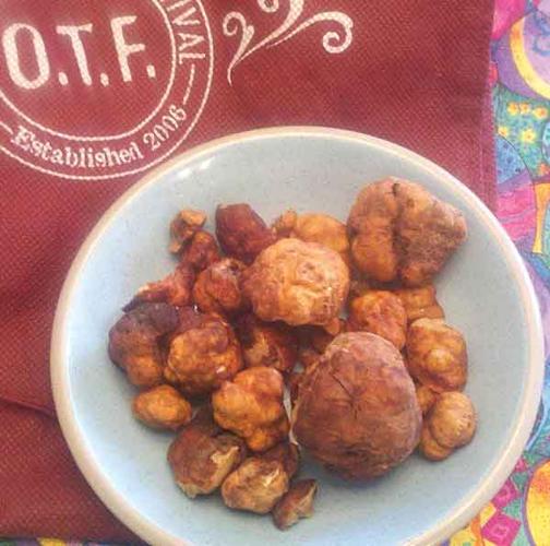 Local growers hope to put Idaho on the map for truffles | Members ...