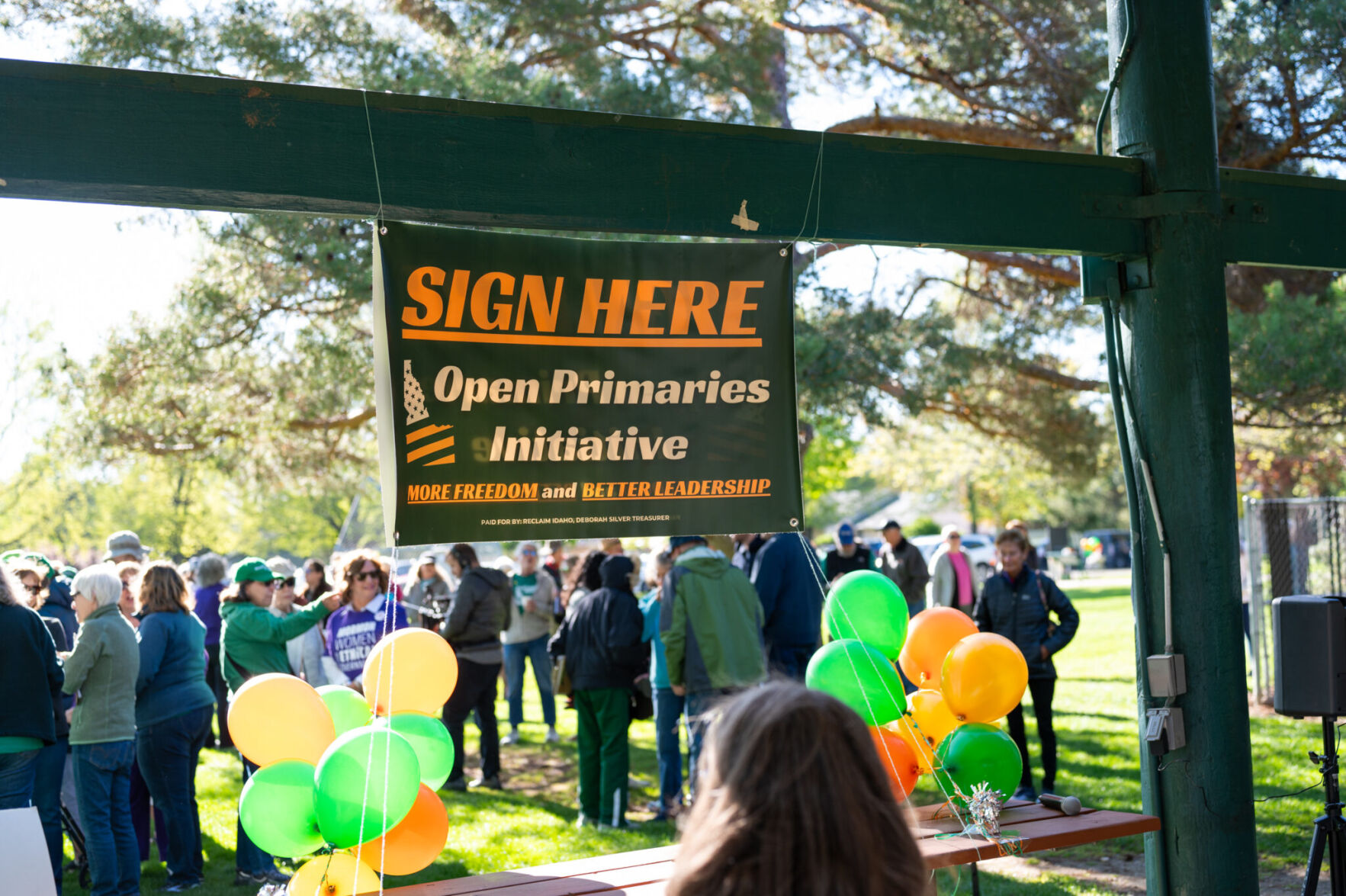 Idaho open primary supporters exceed signature goal, submit for ...