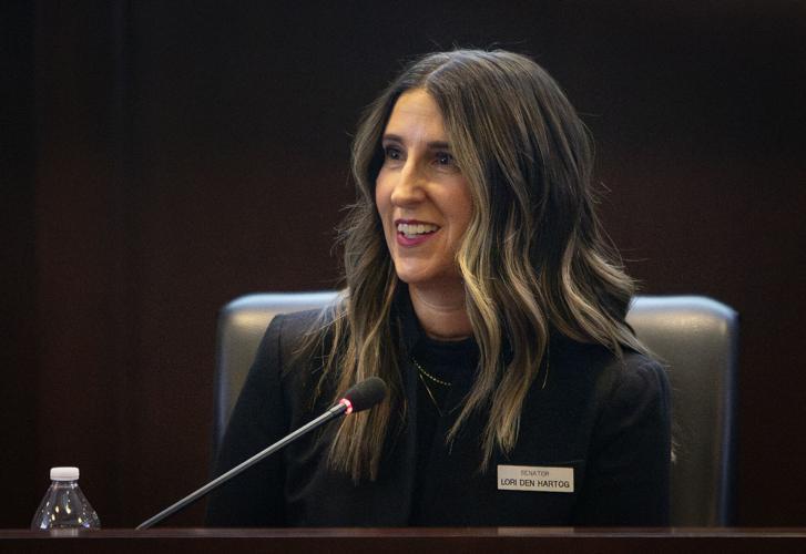 Anthon, Den Hartog assume Senate top leadership positions | Local News ...