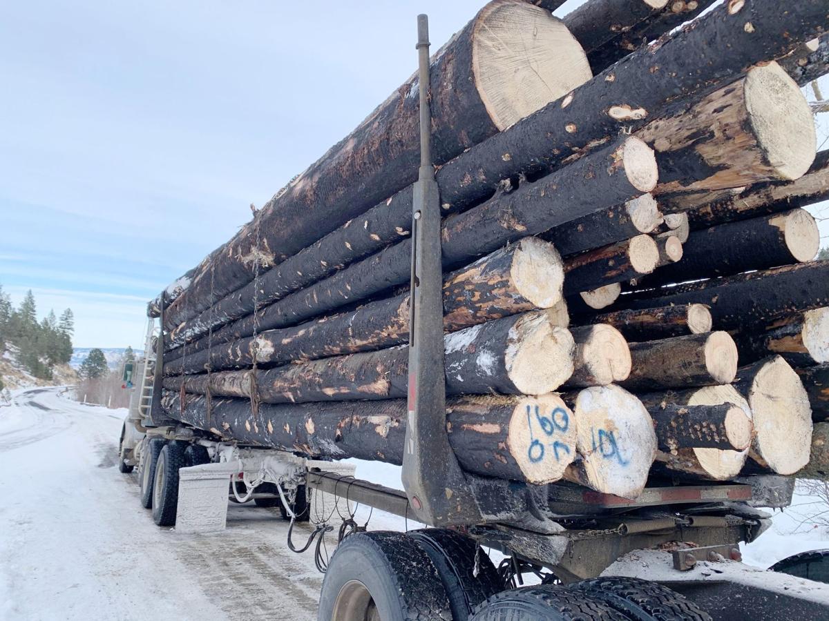 Quick salvage timber harvest benefits schools | Local News | idahopress.com
