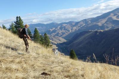 General Outlook for 2020 Big Game Hunting Season | Local Sports ...