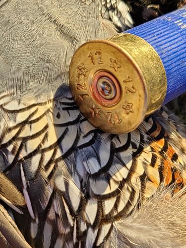 Shell shock: Ammo shortage bites industry | Local News | idahopress.com