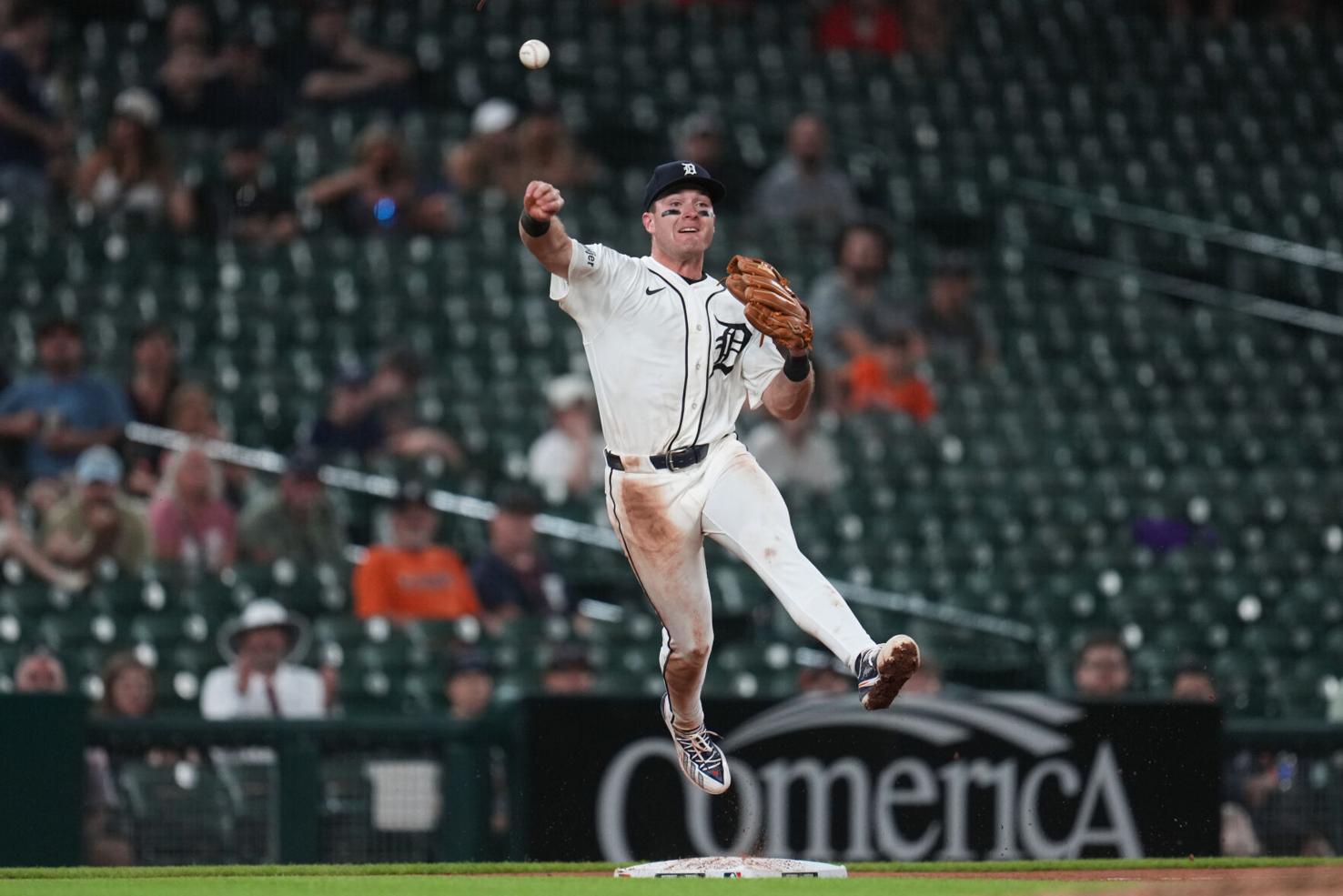 Twins Tigers Baseball | National Sports | idahopress.com