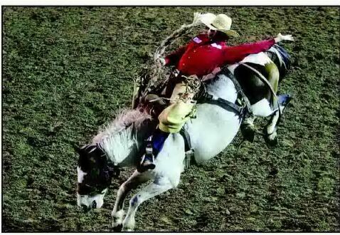 Pollock rising quick in rodeo after late start | Sport | idahopress.com