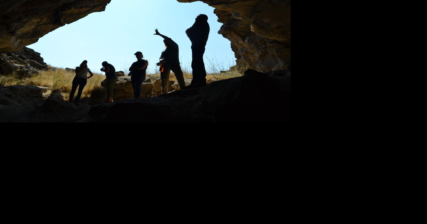 Wasden collection of Ice Age discoveries near Idaho Falls finds home at ...