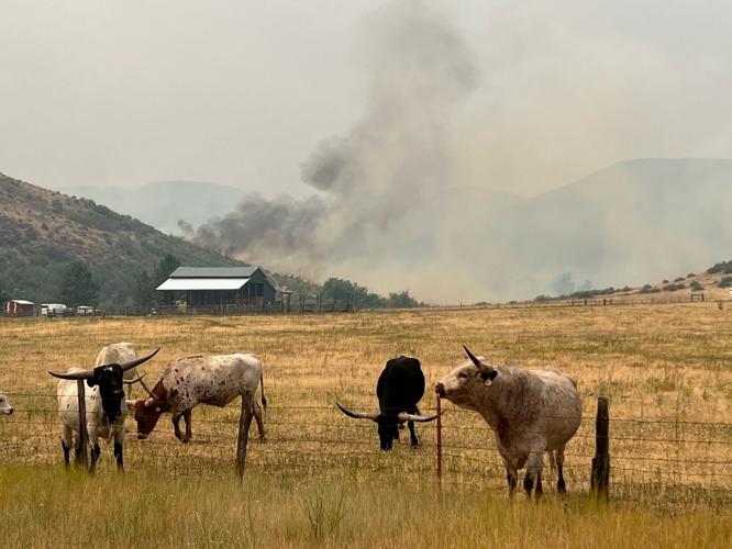Fire spanning 118,000 acres leads to smoke-filled skies, evacuations ...