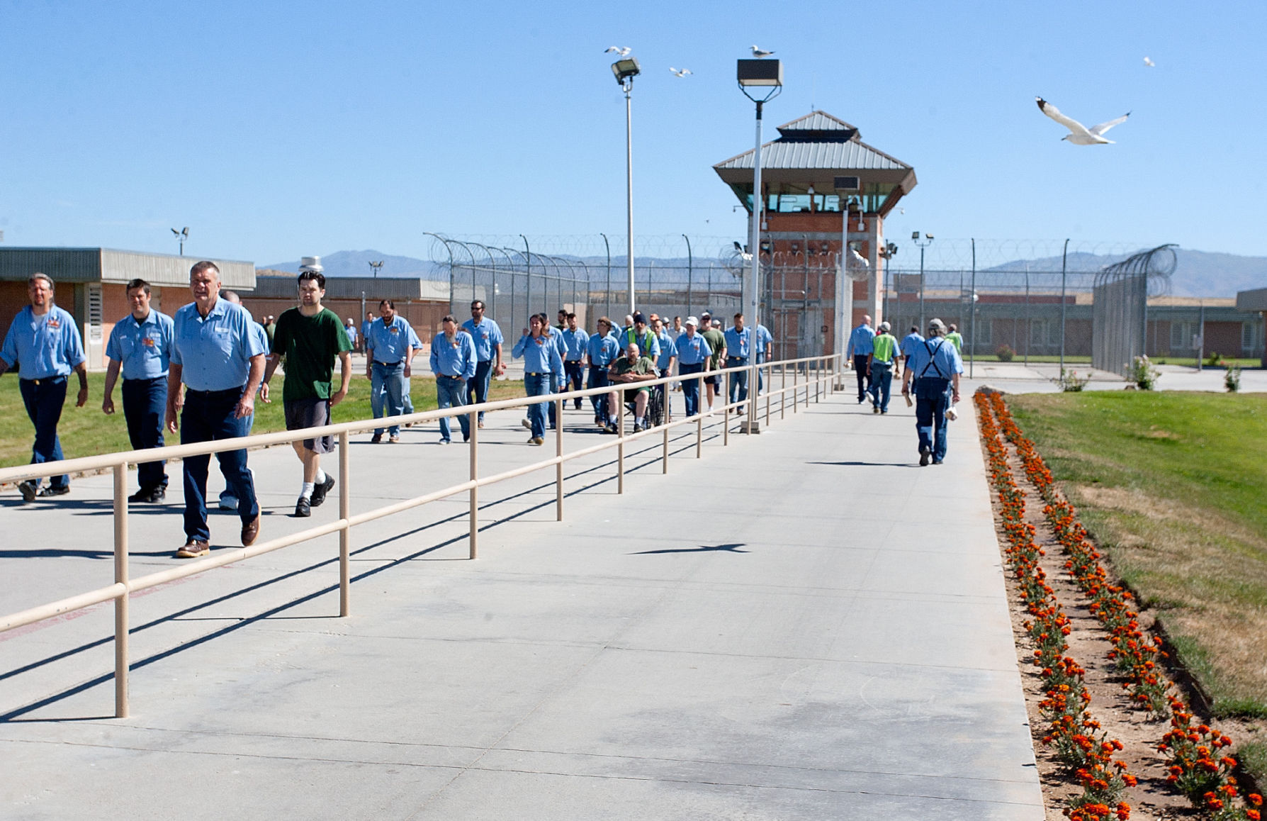 Idaho Department of Correction provides overview of growing prison ...