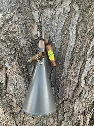 Tom Claycomb: It's varmint season! | Community | idahopress.com