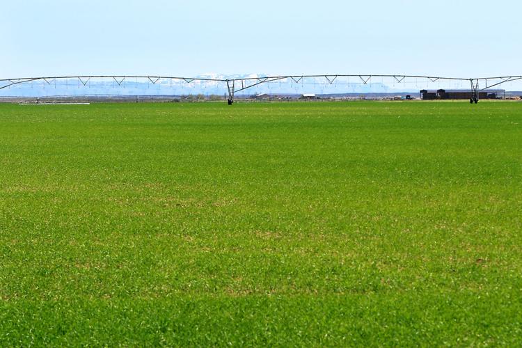 Farmers, ranchers encouraged to 'tell their story' to keep Idaho's ag ...