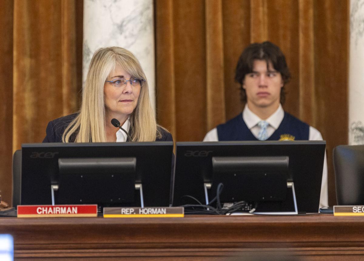 State Rep. Wendy Horman, co-chair of budget committee, to resign from ...