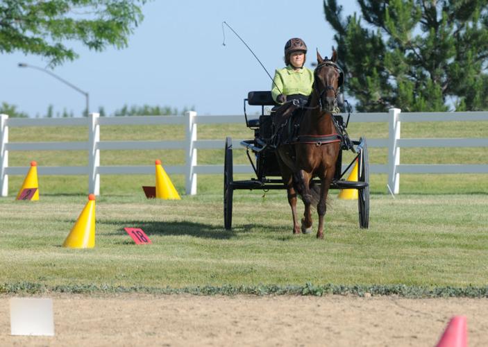 Horse Driving Trials | Photos | idahopress.com
